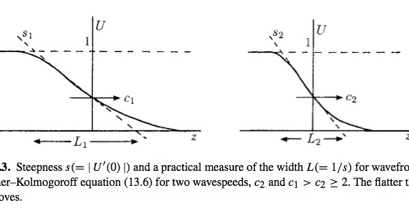 Philip Gerlee's Research: The slope of solutions to the Fisher equation