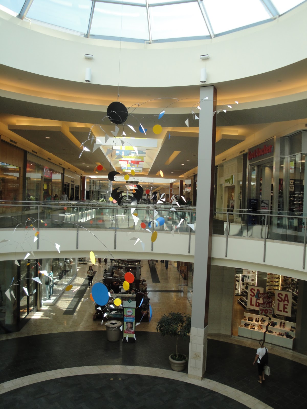 Obstacles and Glories: Robinson Mall
