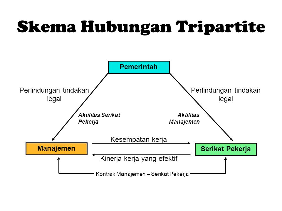 Pengertian Tripartit Dan Fungsinya - Pelajar Tabalong