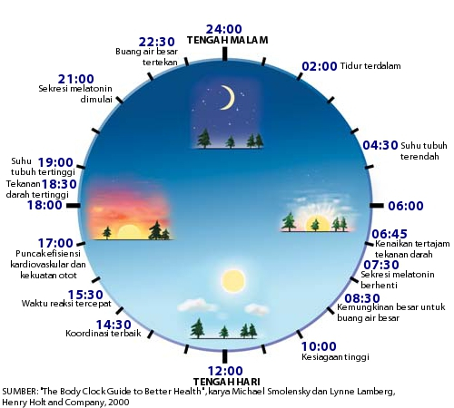 Ruang Sehat: Mengatur Keseimbangan Dengan Mengenal Jam Biologis Tubuh