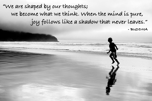 Wisdom of Life.: Words of Wisdom.........