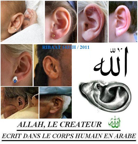 L'Islam pour les Nuls: Le nom d'Allah est partout