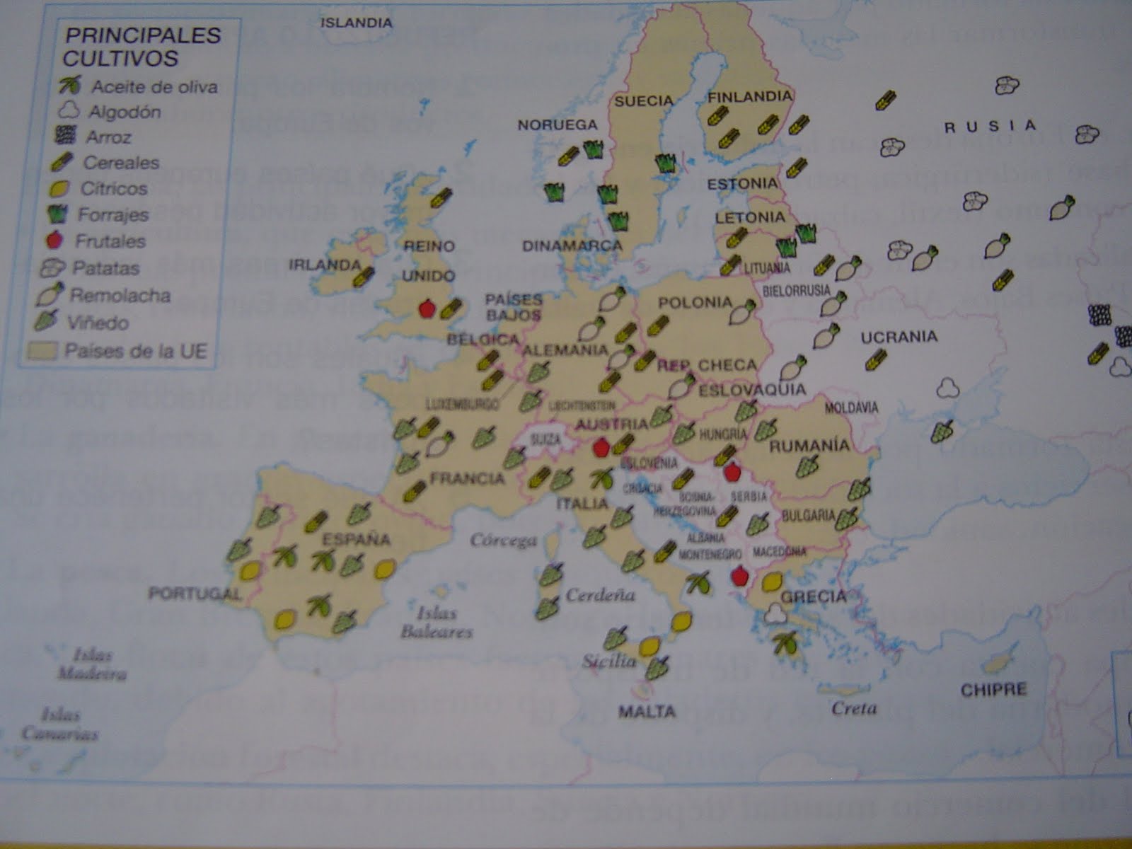 Lo que aprendo en clase: Mapas de los sectores de producción en Europa