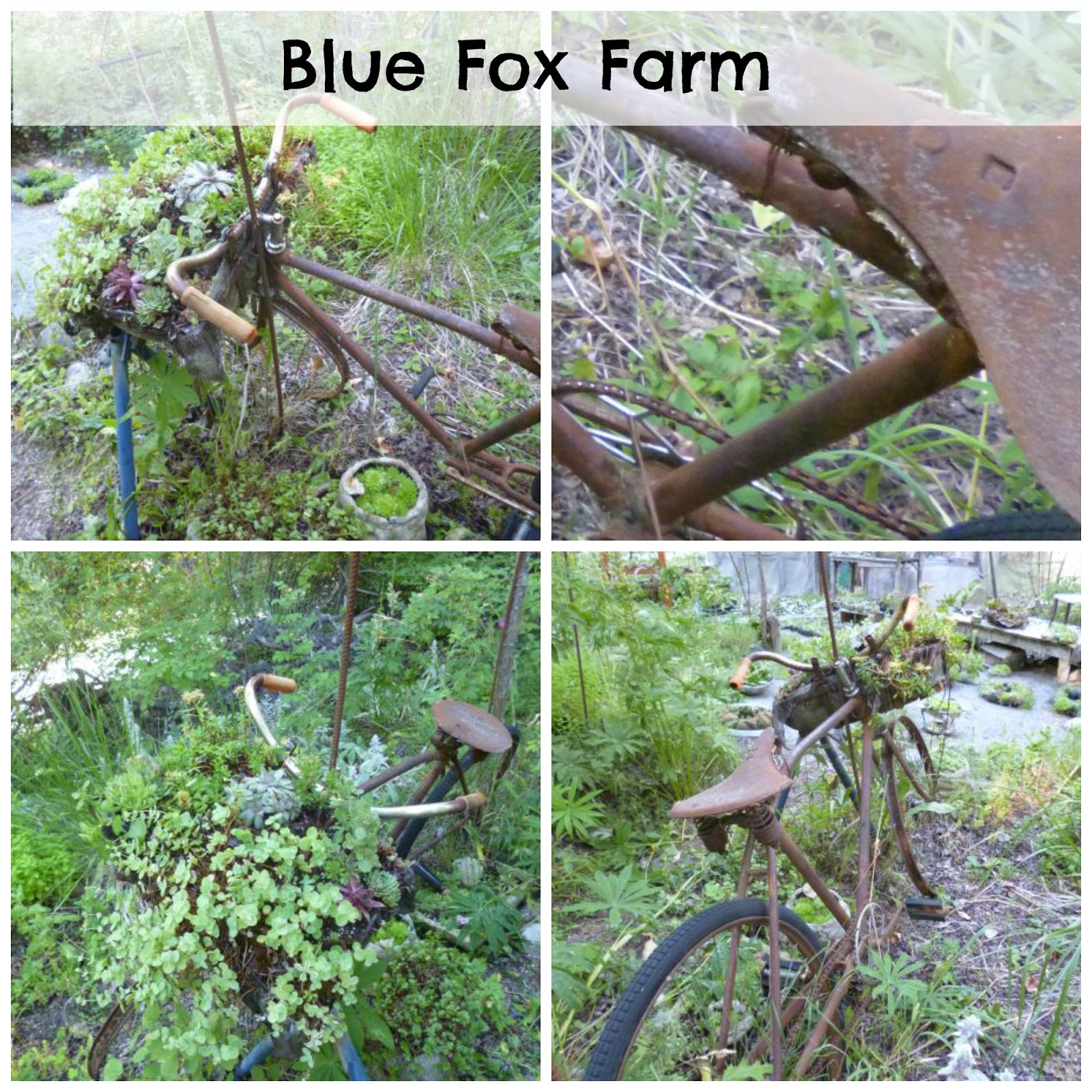 Add a Bike to Your Garden Just for the Fun of It - Organized Clutter