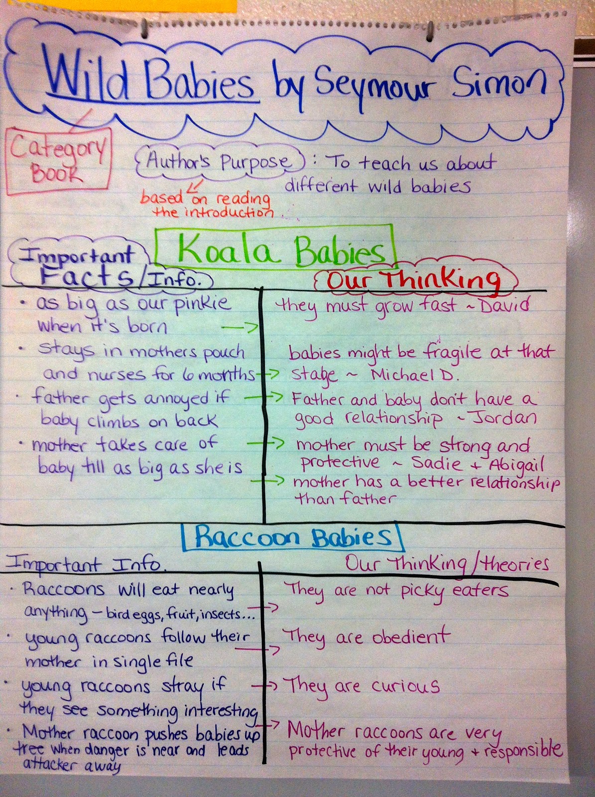 Two Reflective Teachers: Bulletin Boards and Charts
