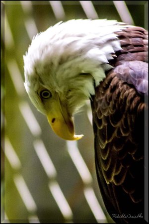 Awakenings: No Lesson Learned