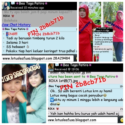 LotusLeafUsa PELANGSING PALING AMPUH AMAN DAN CEPAT OBAT KURUS PALING ...