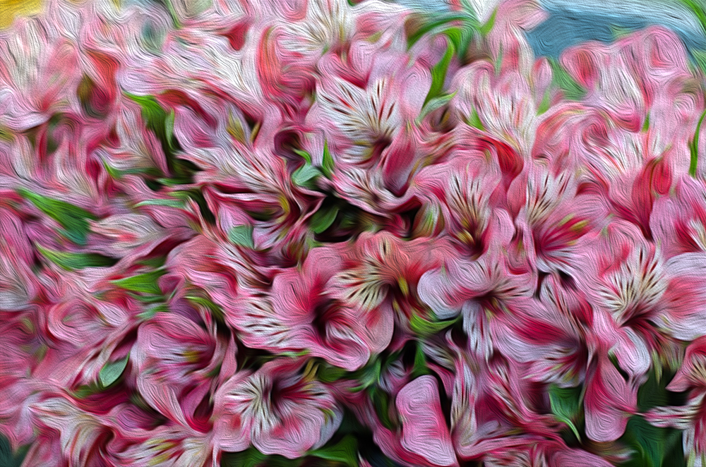 Flower Photography: Filters/ Soft Focus / Composites