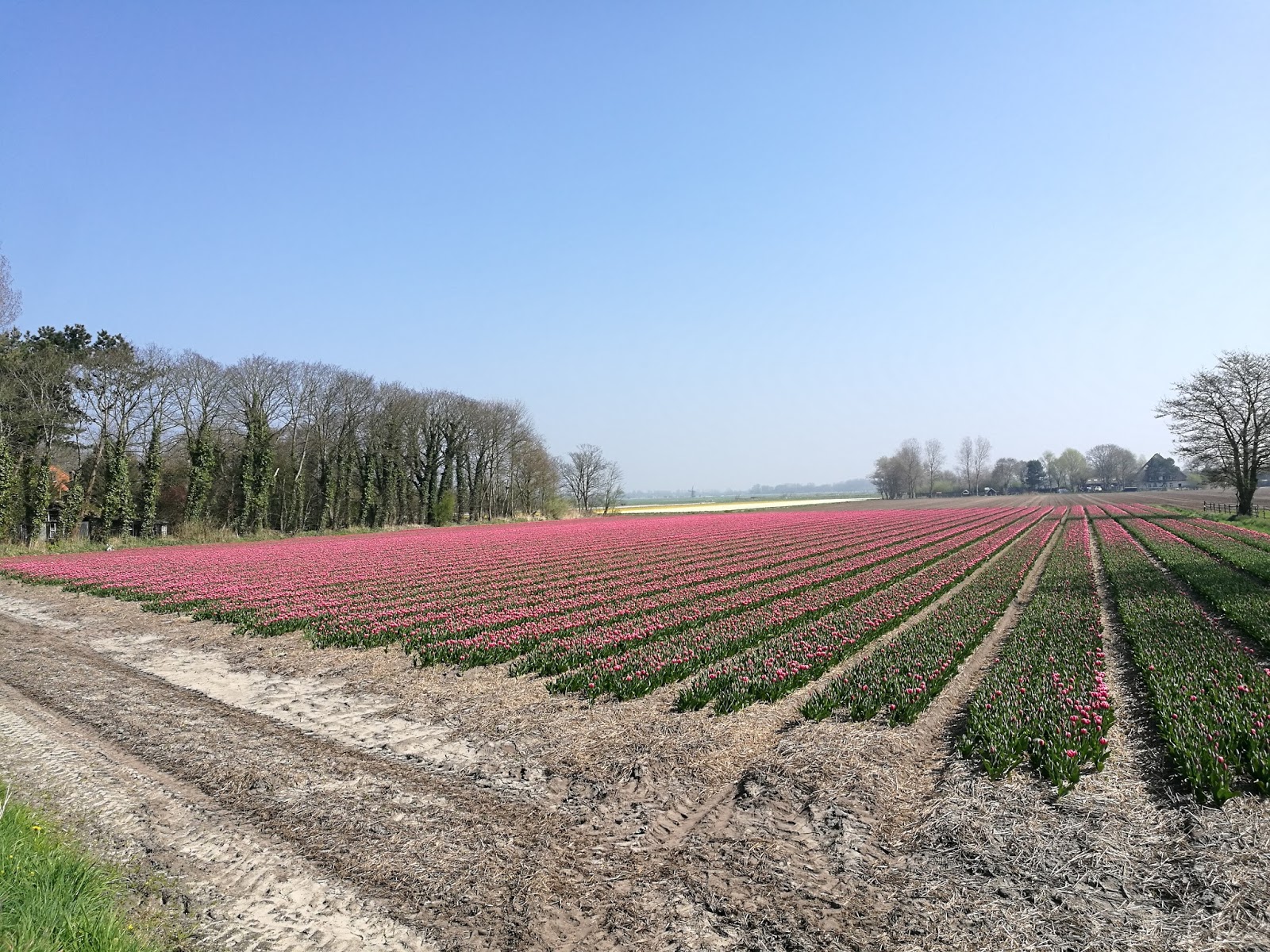 The Big Wobble : Photo of the day: A wonderful warm early spring has ...