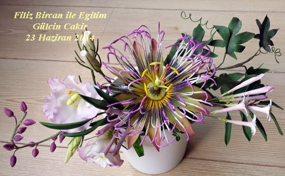 23 Haziran 2014 (Özel Egitim) Istanbul | PETUNYALARIM