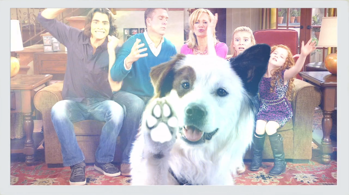 Warp Speed to Nonsense: Dog With A Blog: Season One, Episode One "Stan ...