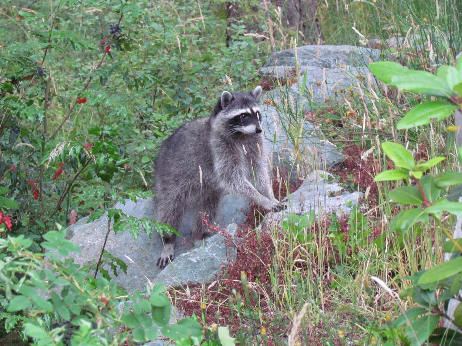 Scene Through My Eyes: What We Did On Our Vacation - Part Three