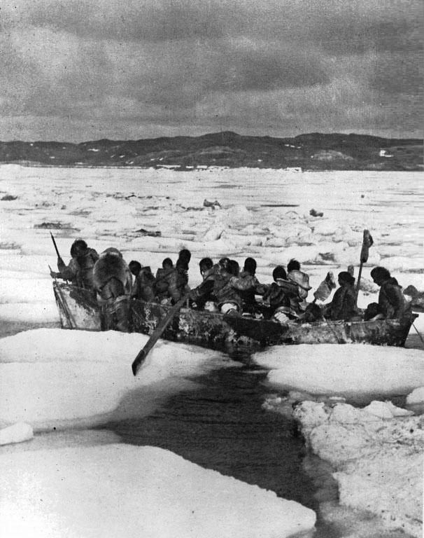 Forgotten Dreams: More Revelations about the Migrations of Asian Arctic ...