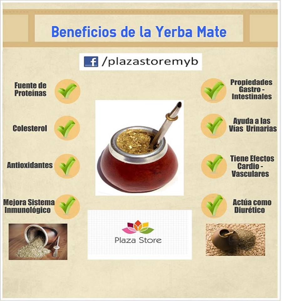 Plaza Store - Mates, Bombillas y Yerba Mate: Beneficios de la Yerba Mate