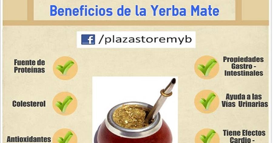 Plaza Store - Mates, Bombillas y Yerba Mate: Beneficios de la Yerba Mate