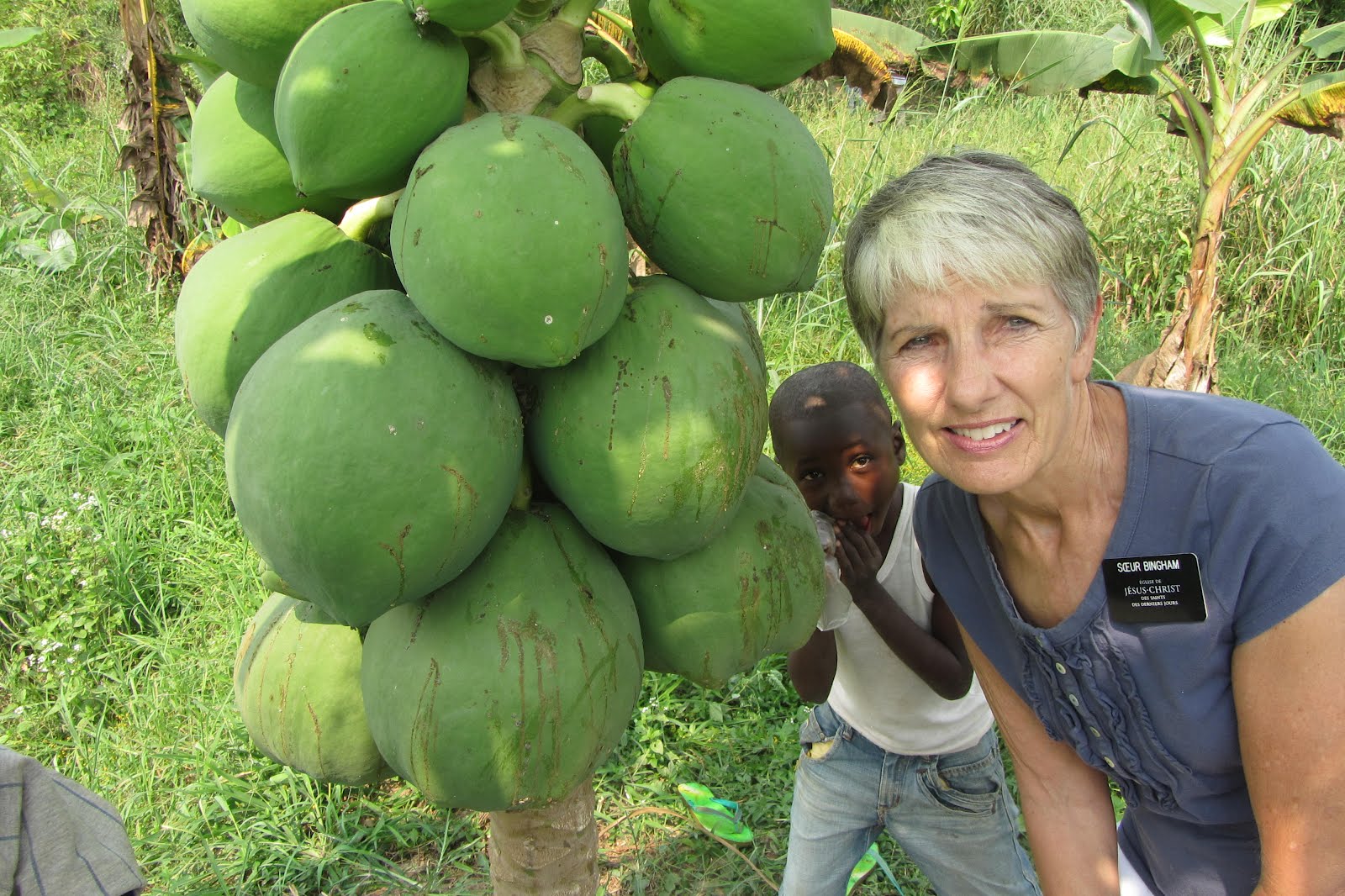 Congo Bongo Binghams: Congo's Fruit and Crawly Things