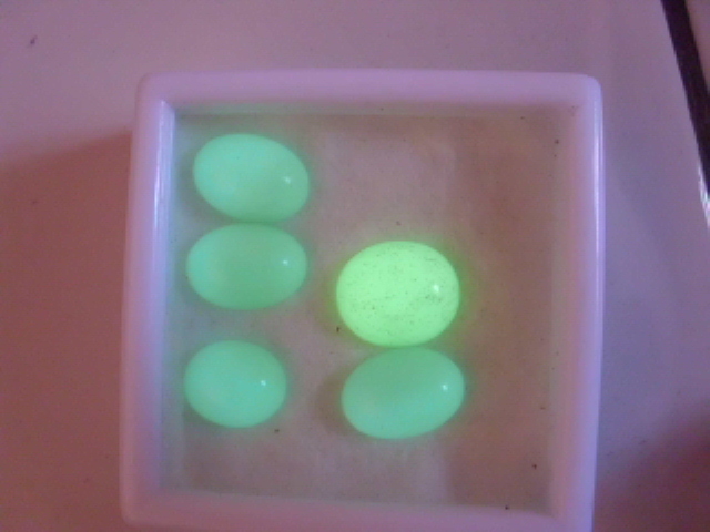 Watusiji Nusakambangan Gemstone: Batu Fosfor Super Natural 100%