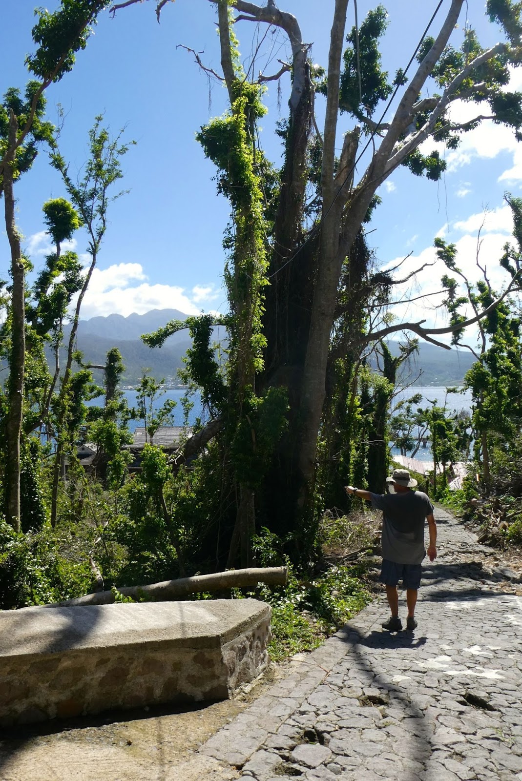 With Water Below: Dominica After Hurricane Maria