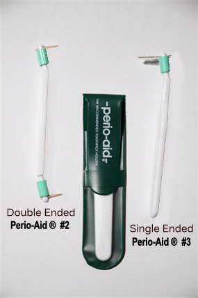 Capstone Project: The Period-Aid toothpick holder