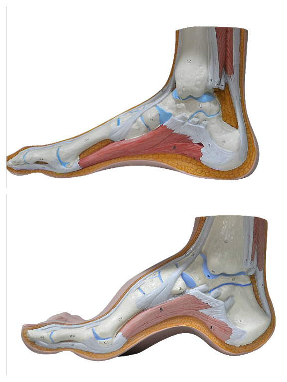 Blog Zrzky: Barefoot / Kupujeme první barefoot boty