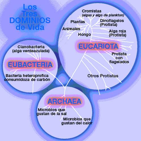 QuiiMiiCa/ karen: SISTEMA DE LOS TRES DOMINIOS.