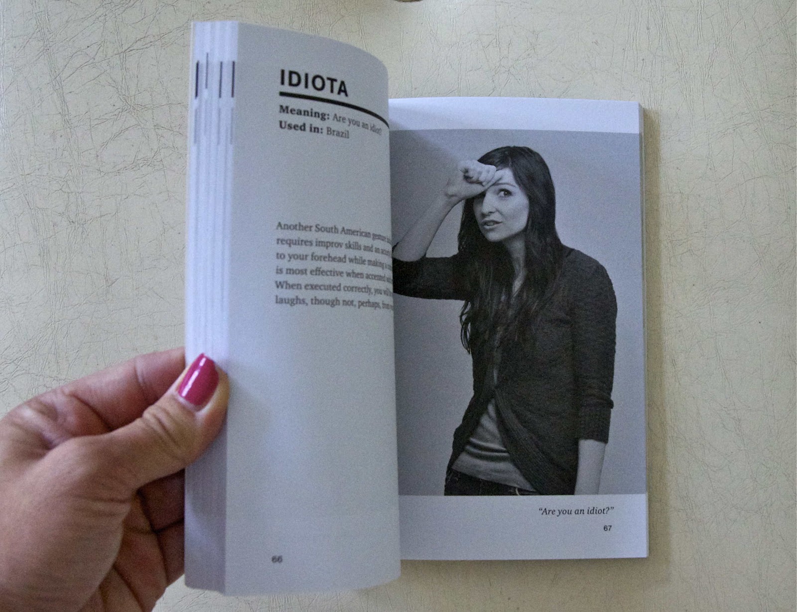 BIG BROBOT: Rude Hand Gestures of the World