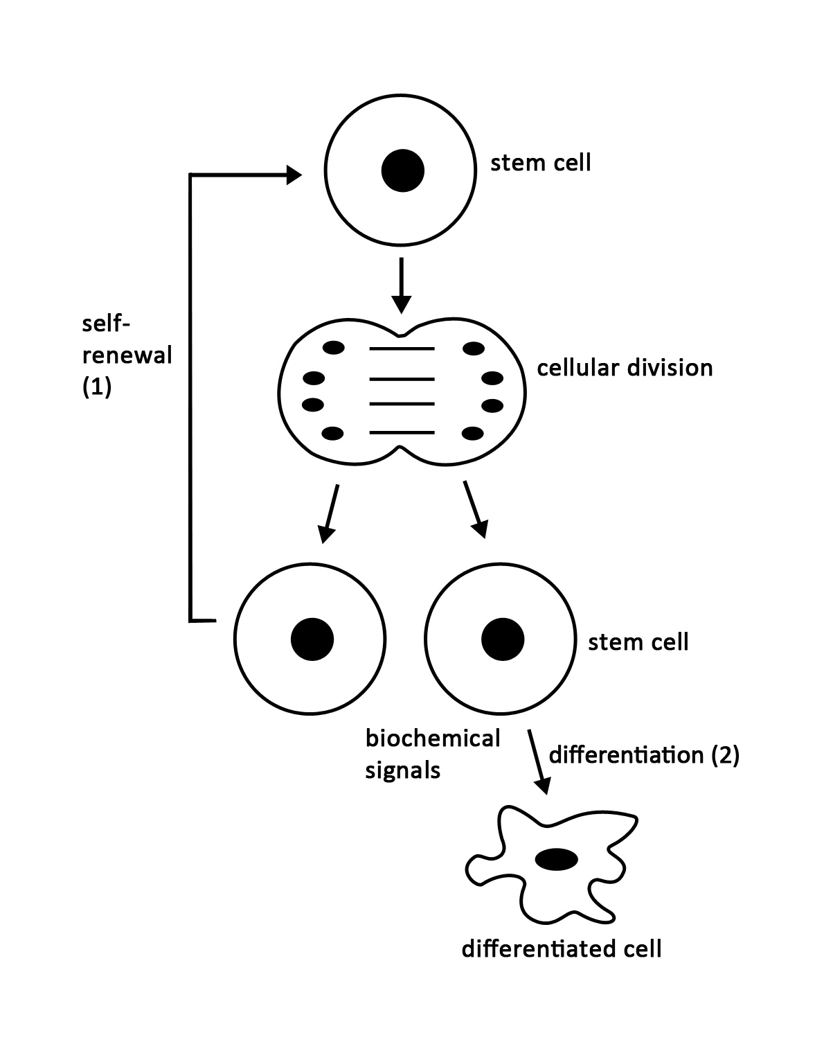 SkinStation: Hulyo 2012