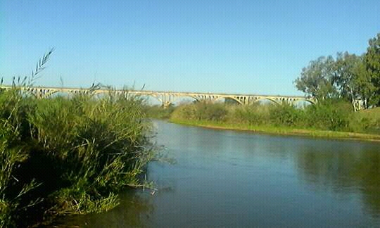 ESMANA7686: Imagens de Magude