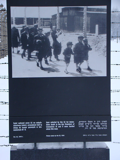 Auschwitz 2012: Auschwitz 2: Selection Ramp