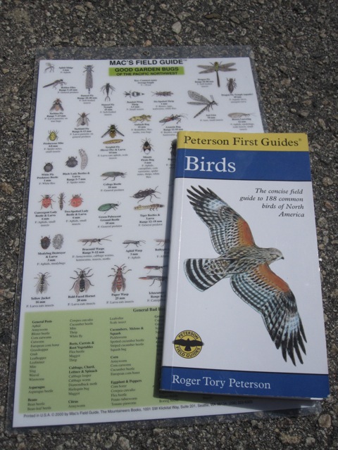 Our Backyard Adventure Kit - GoExploreNature.com