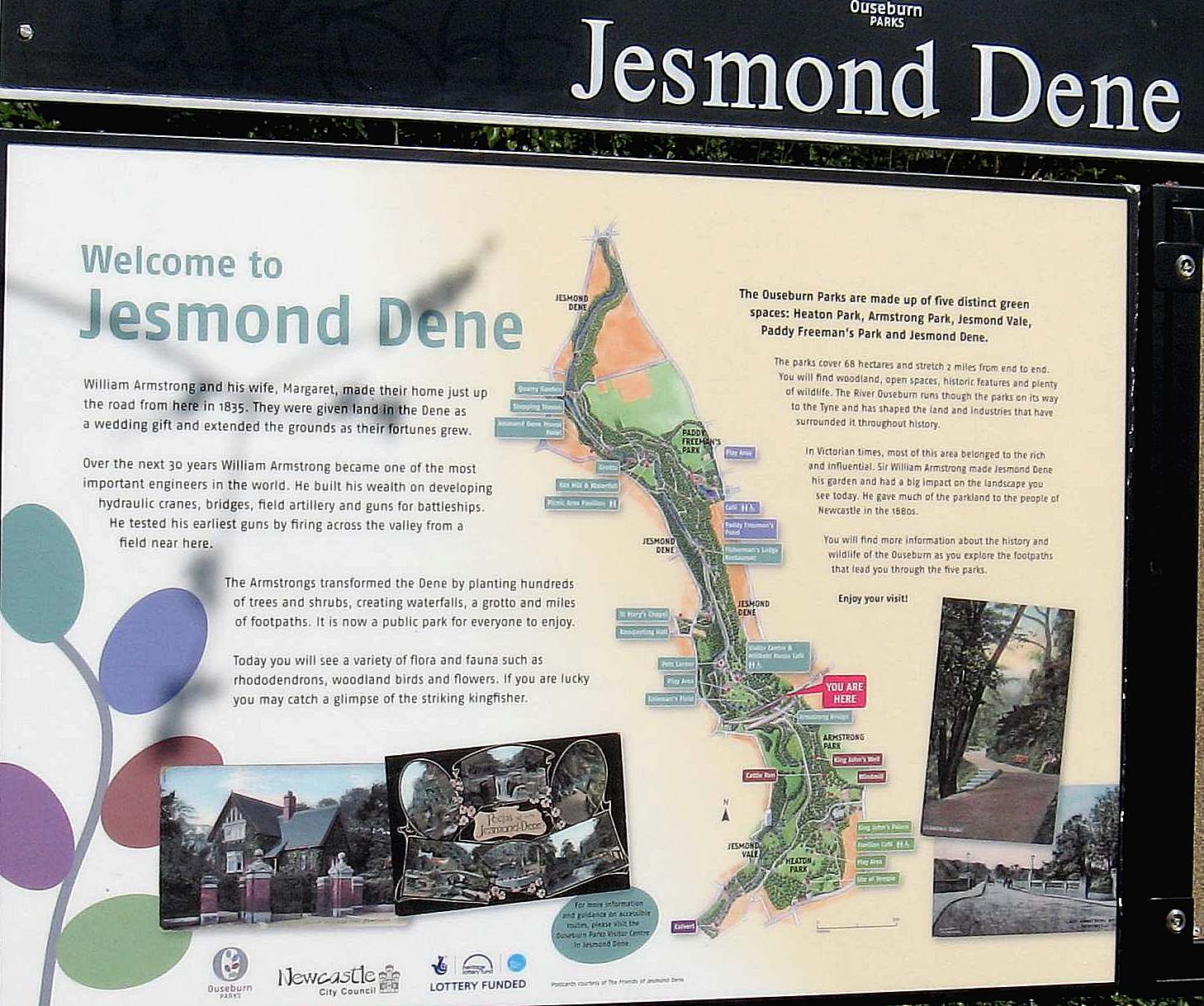 Photo Blog: Jesmond Dene