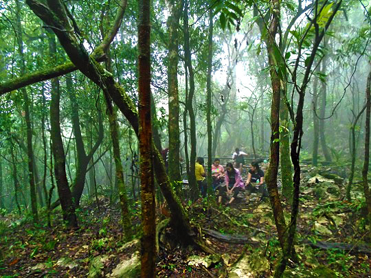 Mt. Lubog, Rodriguez, Rizal (In Photos) - Olvr'sTrvls