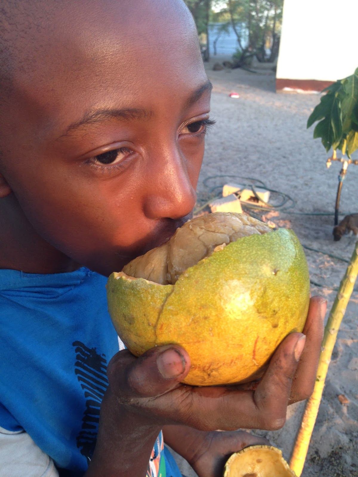 Jamie's Nam Bam Adventures! Peace Corps Namibia: Nom Nom Nom! On the ...