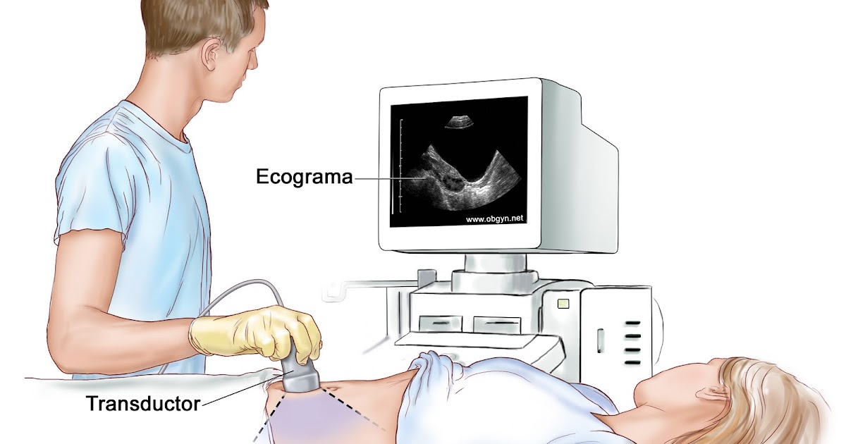 Tecnicos Radiologos: El 'movimiento' de la Ecografía en Hispanoamérica