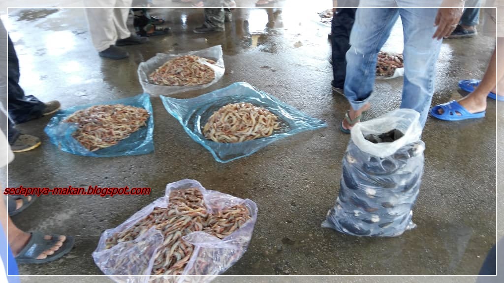 MaKaN JiKa SeDaP: Bisik-bisik beli ikan di Pasar Bisik Kuala Muda ...