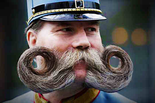 EL CAJON DE LOS CONOCIMIENTOS: BIGOTE