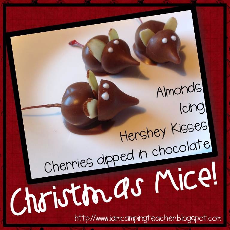 CampingTeacher: Chocolate Mice