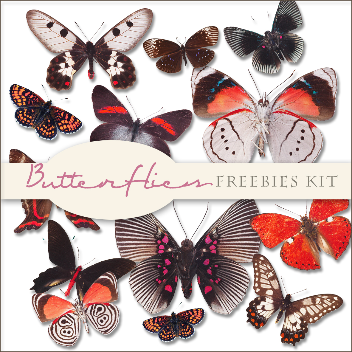 Scrap. DOT: Freebies Butterflies Kit - II part