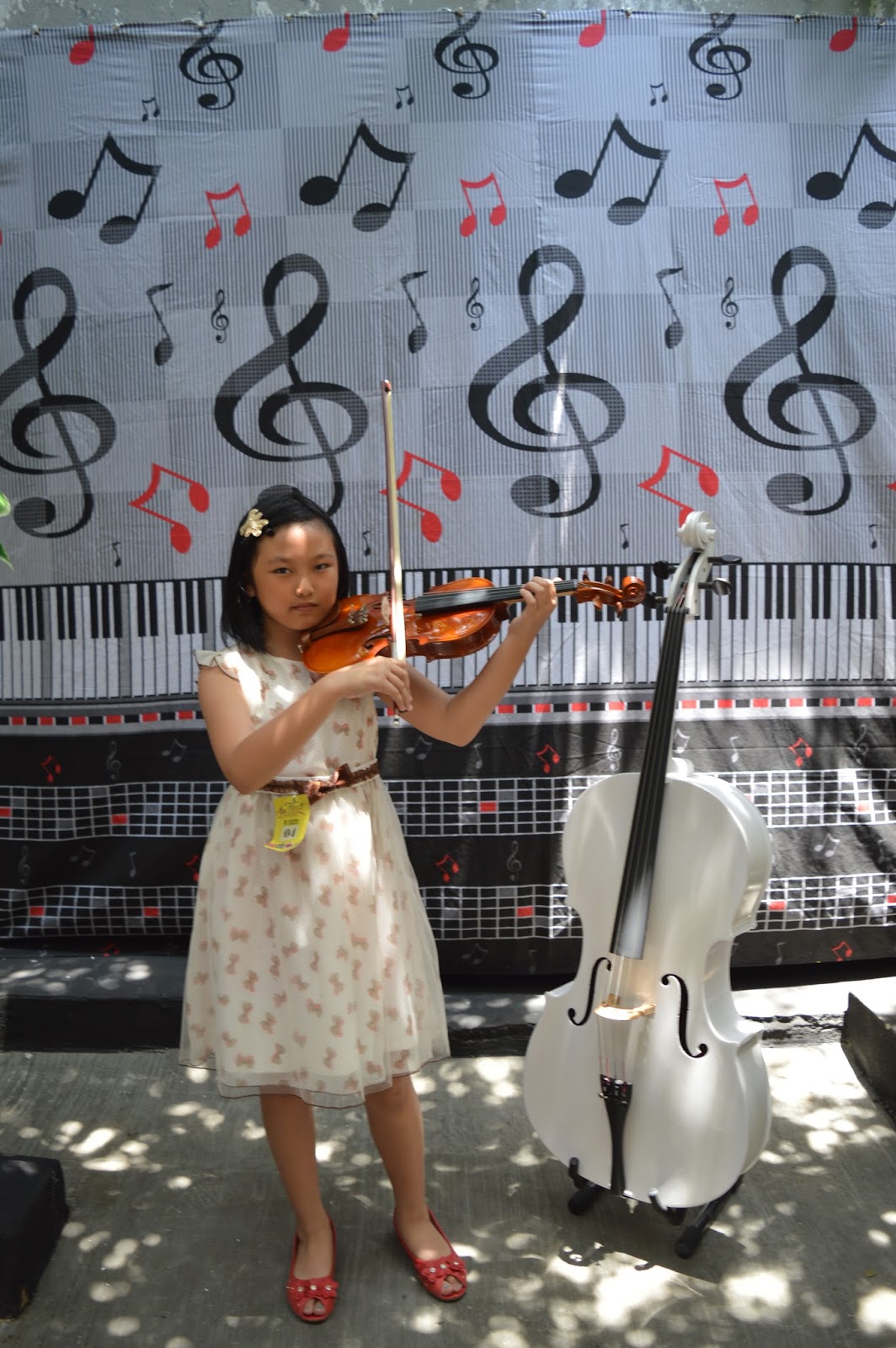 Mengenal Biola dan Bagian-Bagiannya