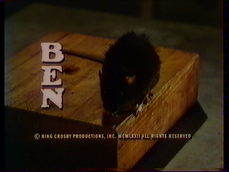 Ratbook: Ben, ou le rat qui fait pas peur