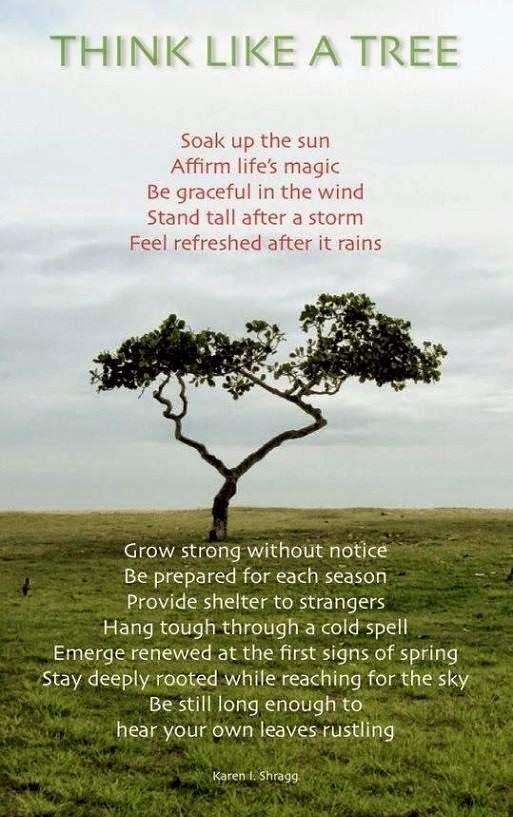 Baige: Think like a tree