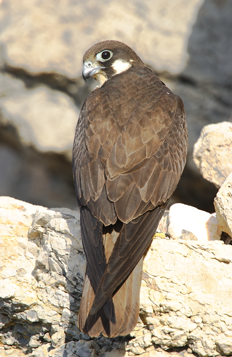 Senderísmo y Fotografía de Naturaleza