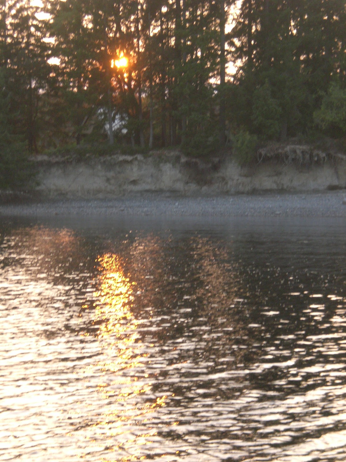 The Adventures of Shatoosh and Pashmina: Totten Inlet and Little ...