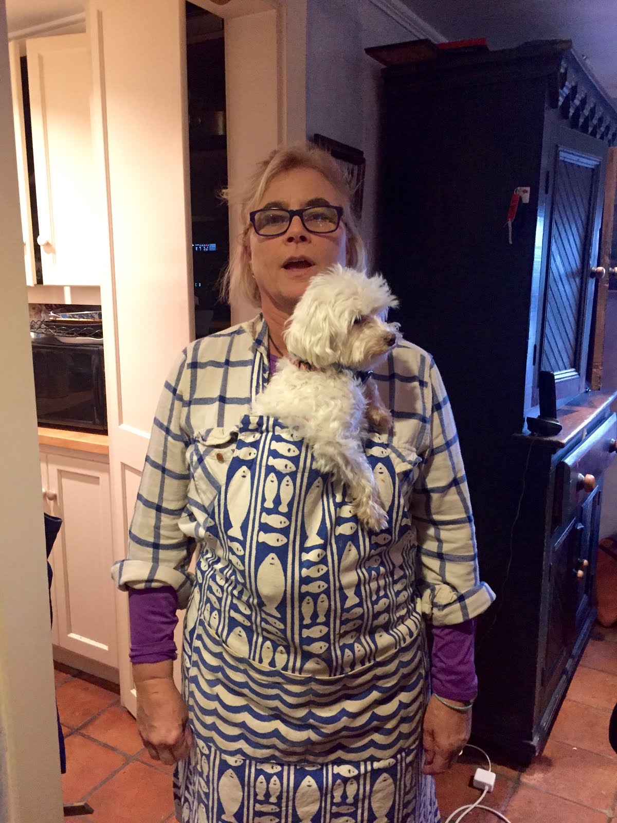 The Website of Isaac Barnett: November 2016