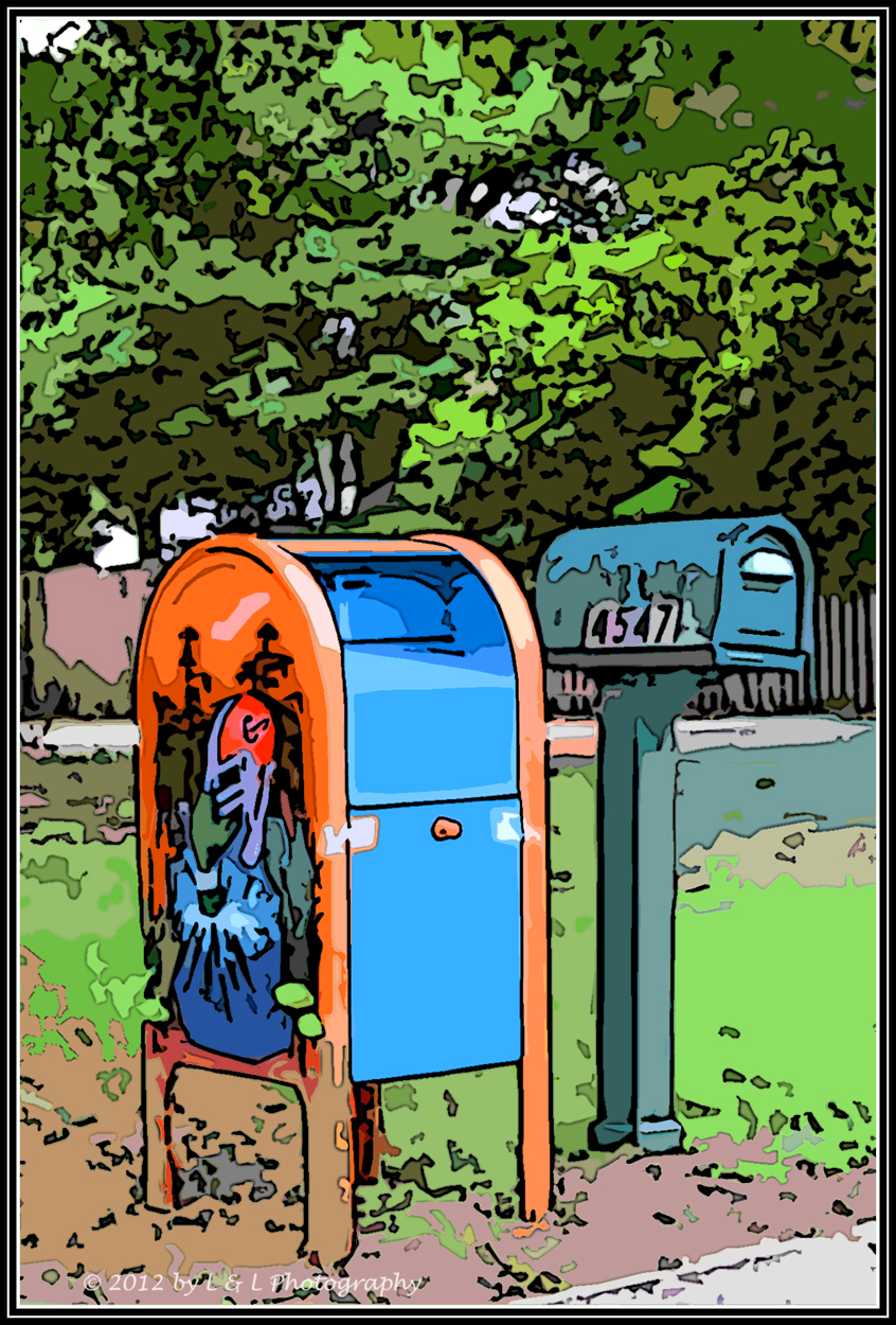 Ocala, Central Florida & Beyond: Florida "Gator" mailbox