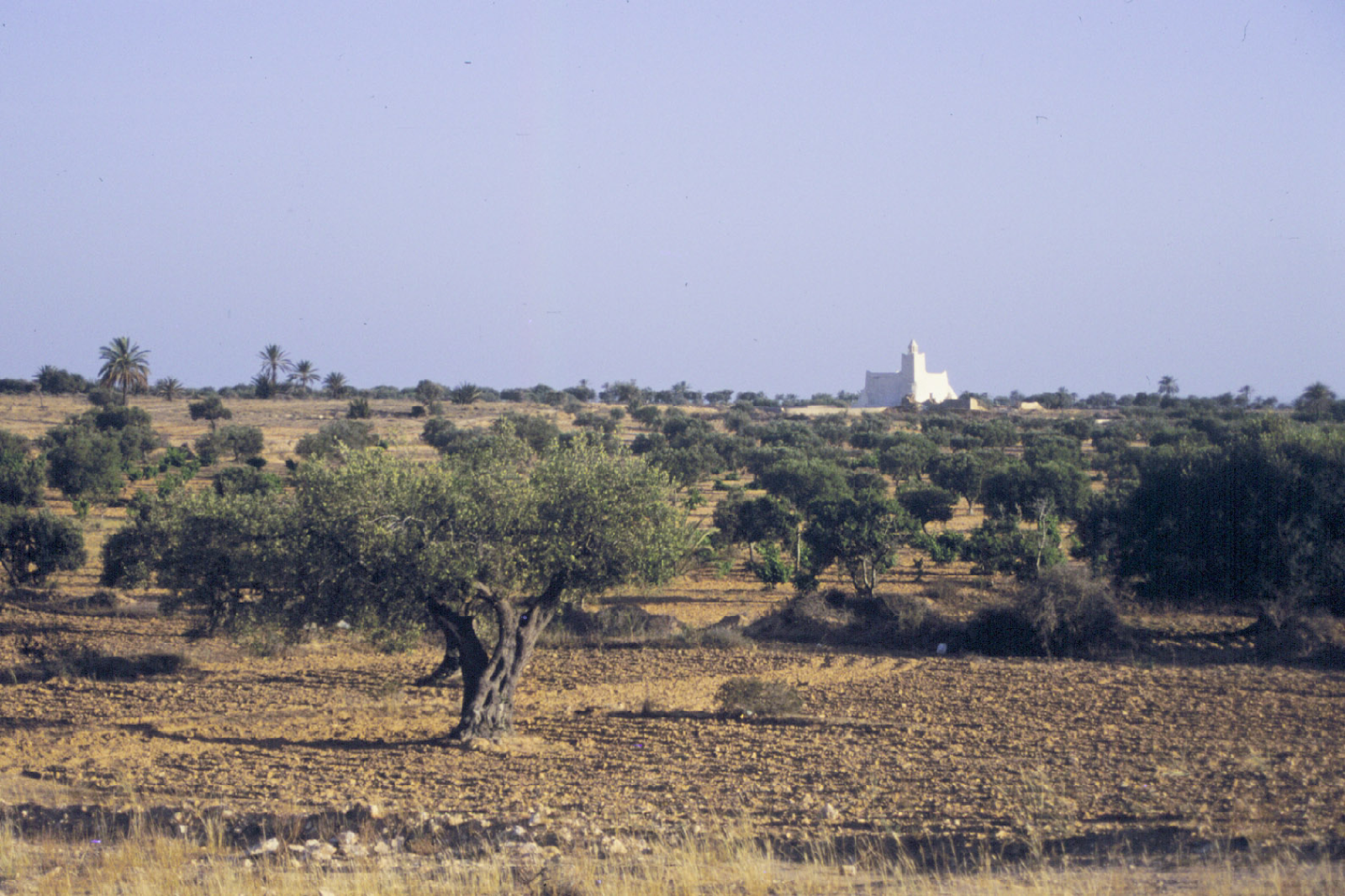 Jerba: an Island in Time