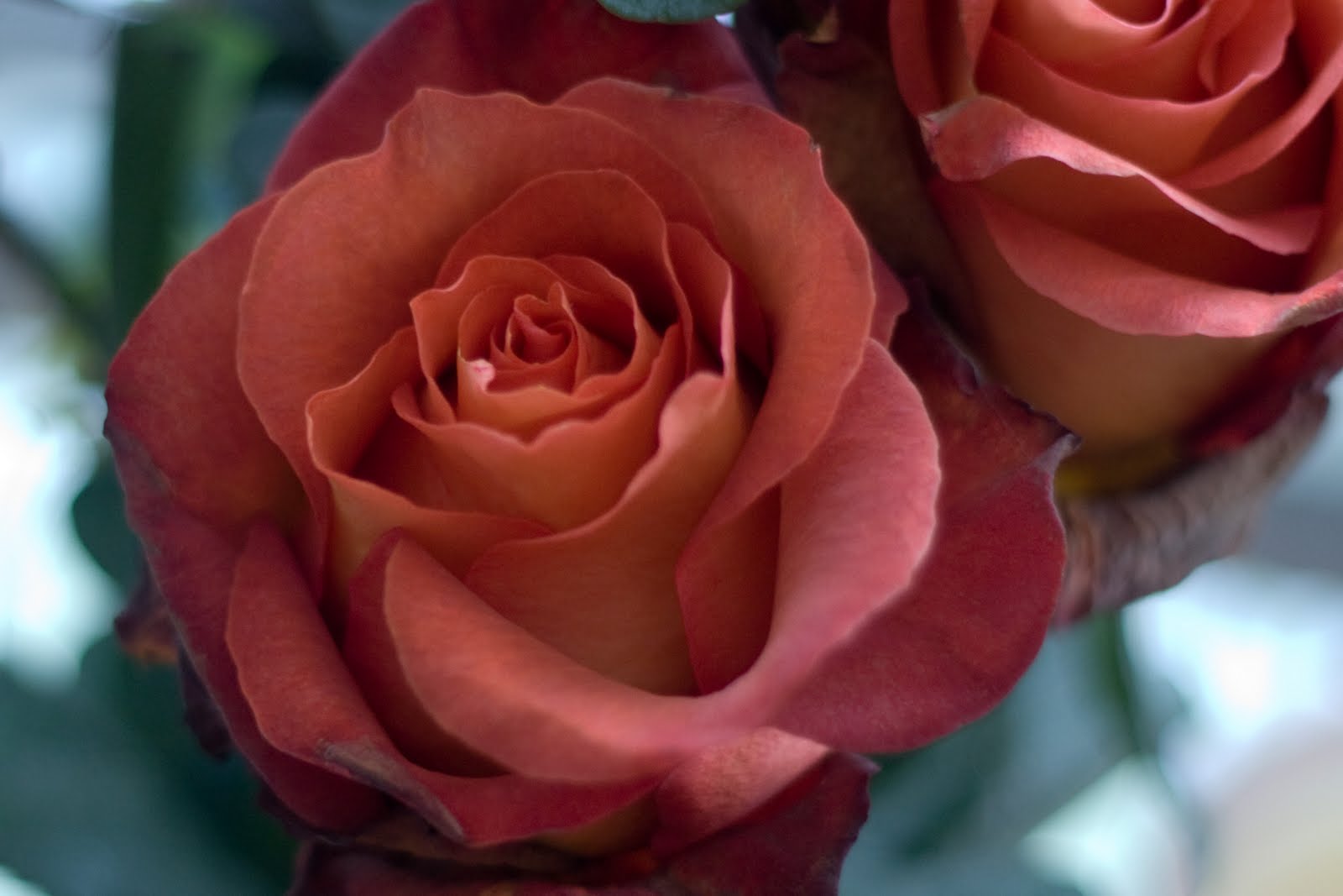Singer on the Sand: September 2011