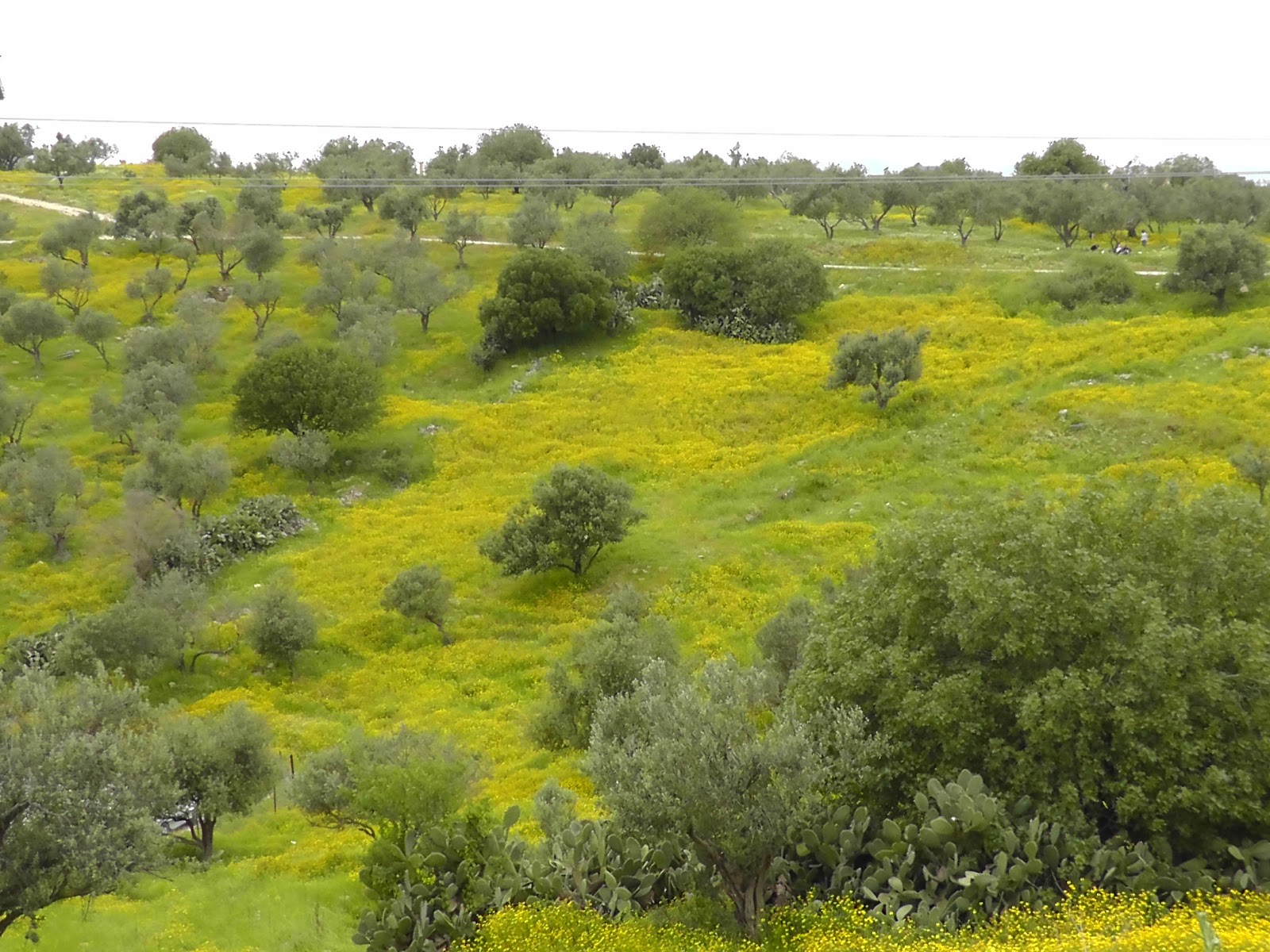 Mount Zion 2012: Travel to (the Hashemite Kingdom of) Jordan - Day 1