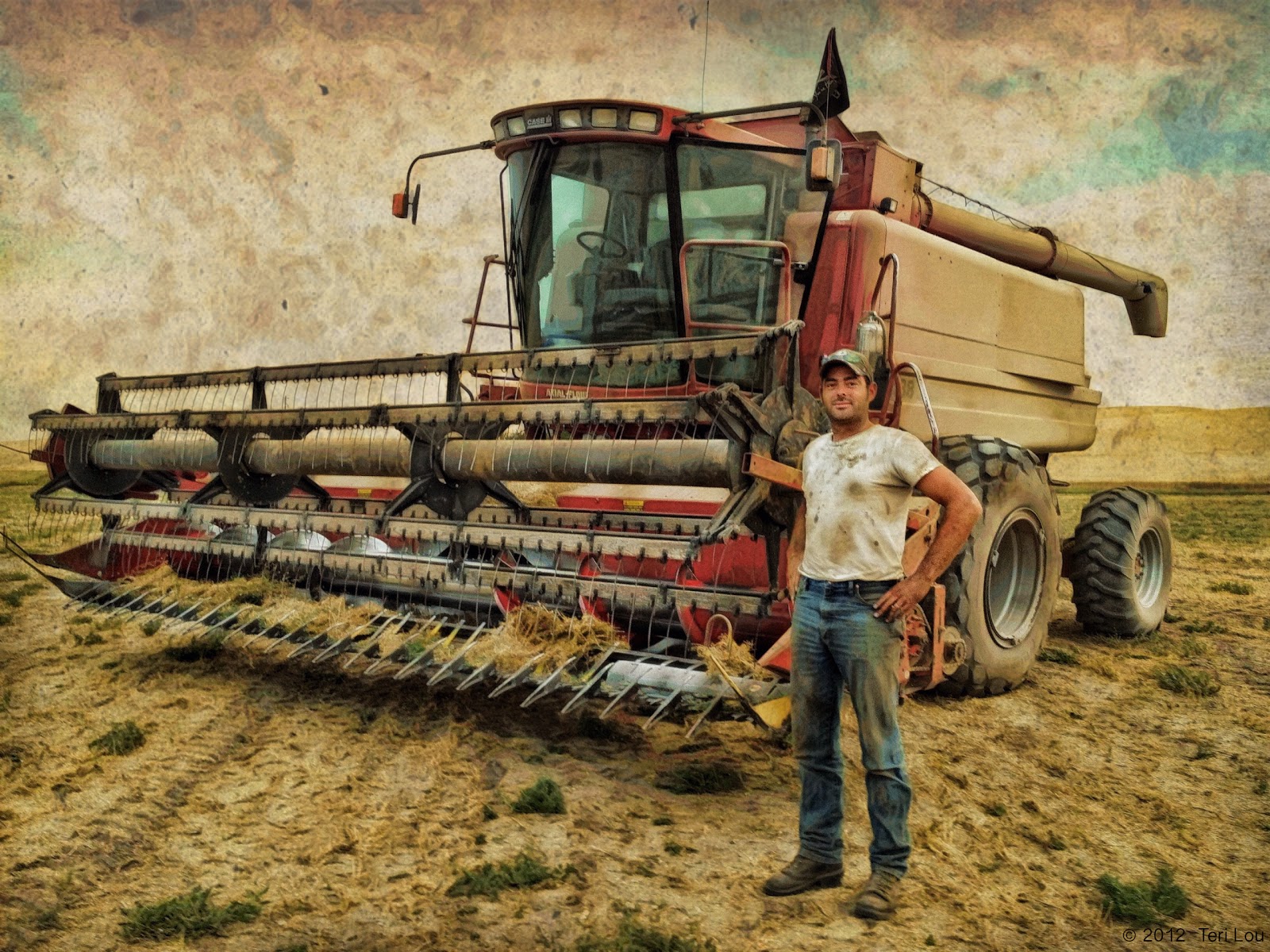 Artistic Adventurer - Teri Lou: Farmer's Hired Hand