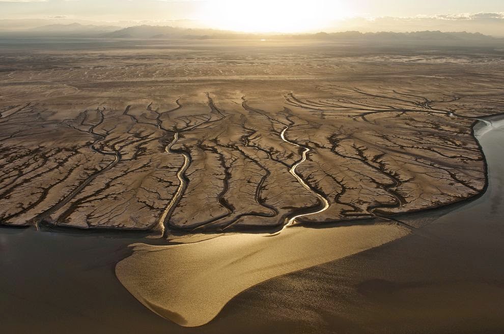 Colorado River Delta Greener After Engineered Pulse of Water - Geology In